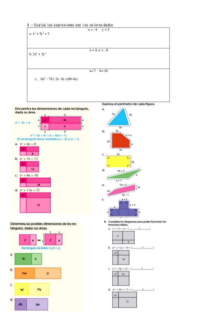 Domina las Expresiones Algebraicas: Guía clave para dominar el Área