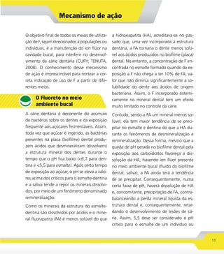 Guia fluoretos brasil_2009 | PDF
