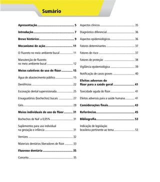 Guia fluoretos brasil_2009 | PDF