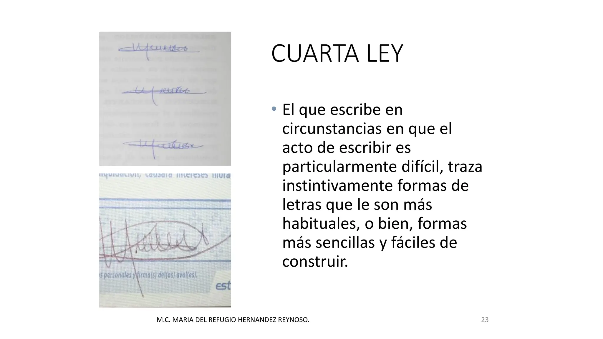 Guía Básica de Grafoscopia y Documentoscopía | PDF