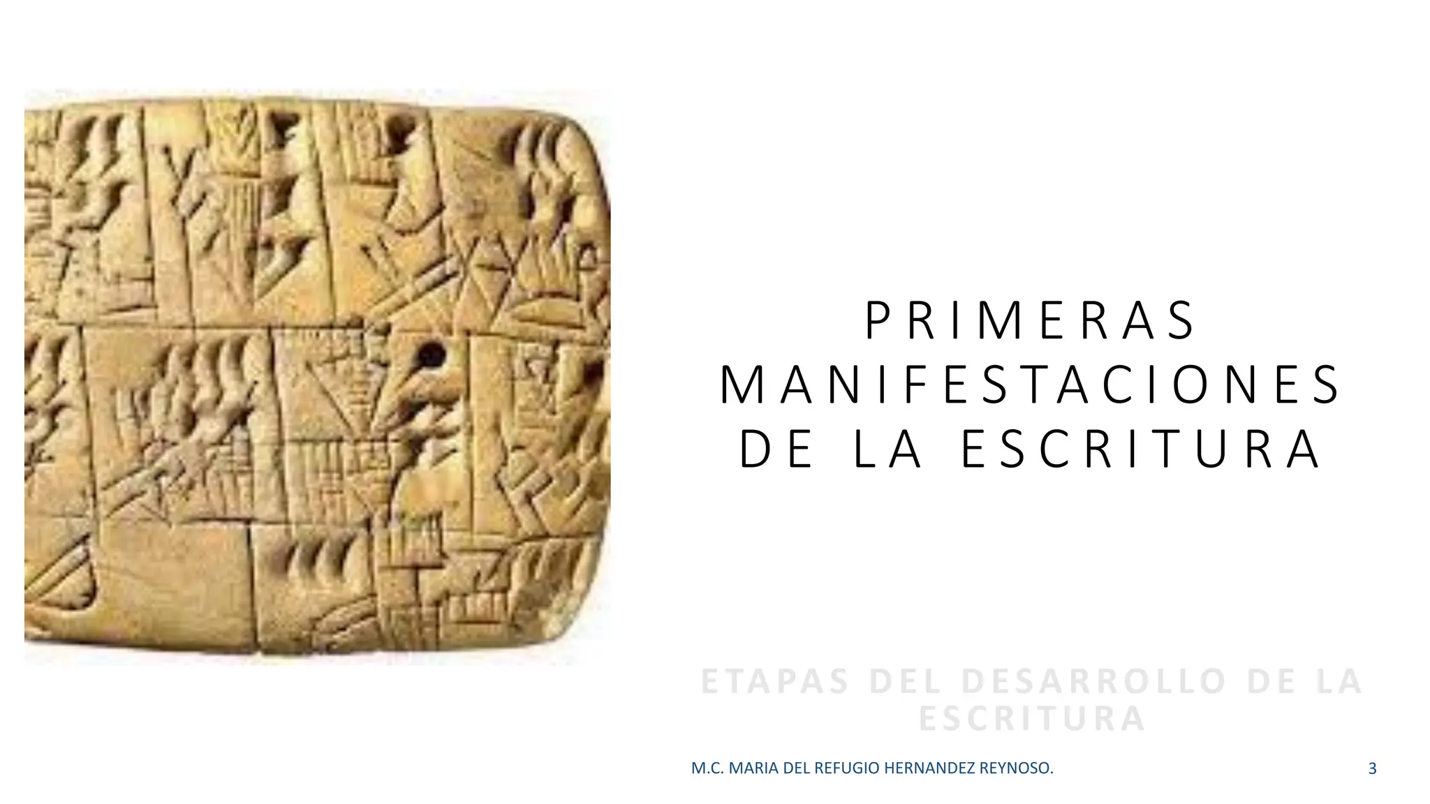 Guía Básica de Grafoscopia y Documentoscopía | PDF