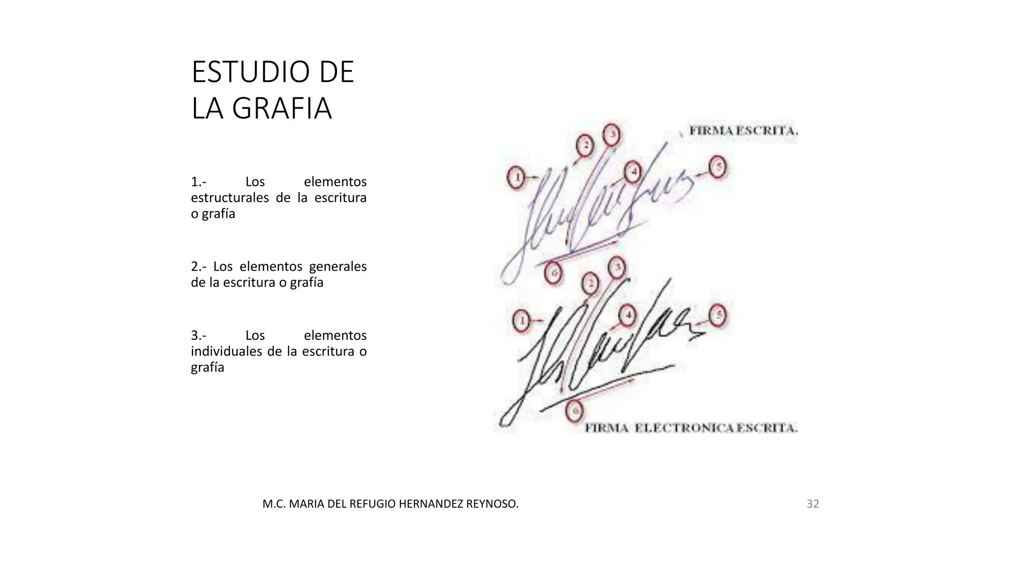 Guía Básica De Grafoscopia Y Documentoscopía Pdf