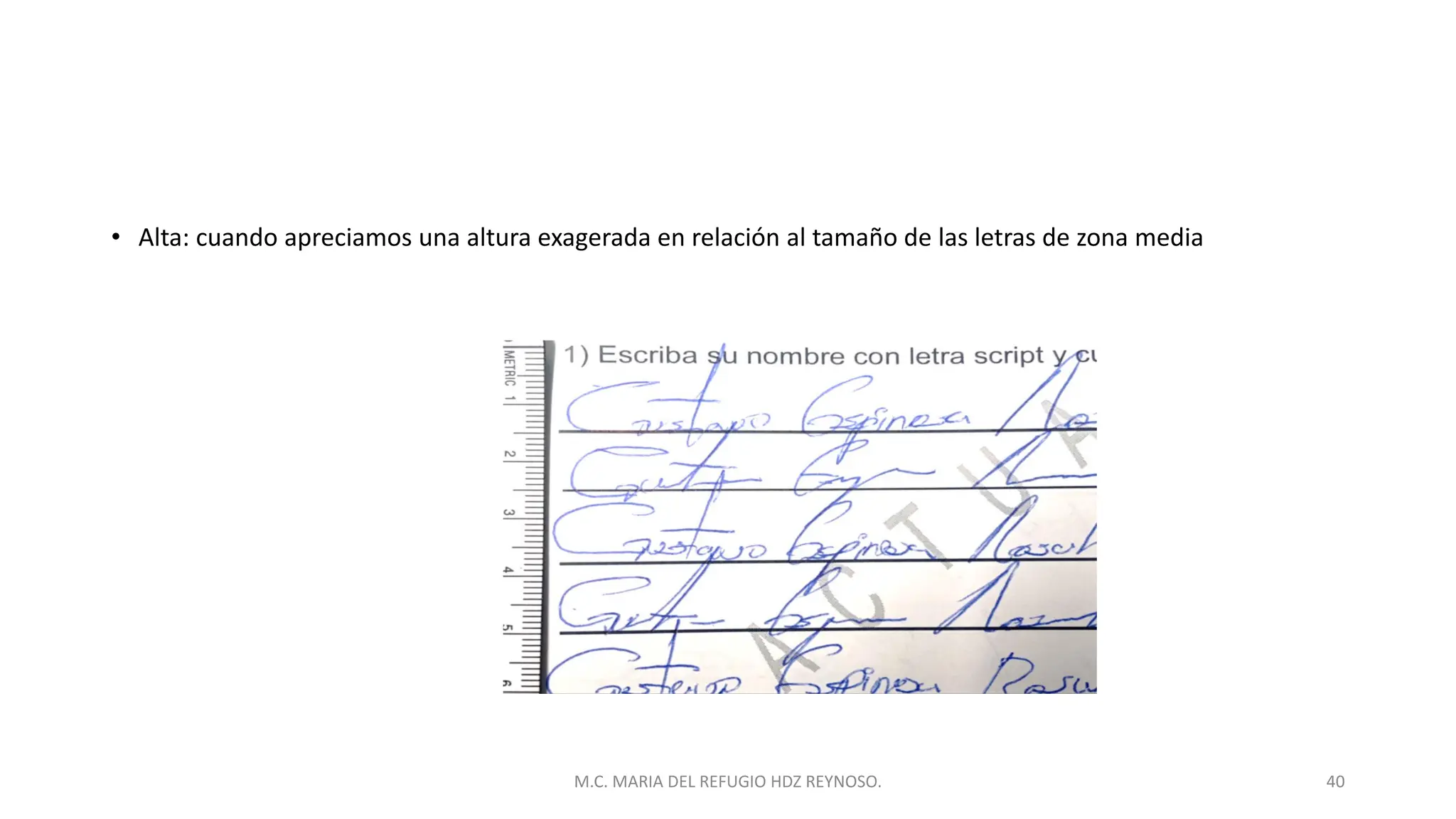 Guía Básica de Grafoscopia y Documentoscopía | PDF