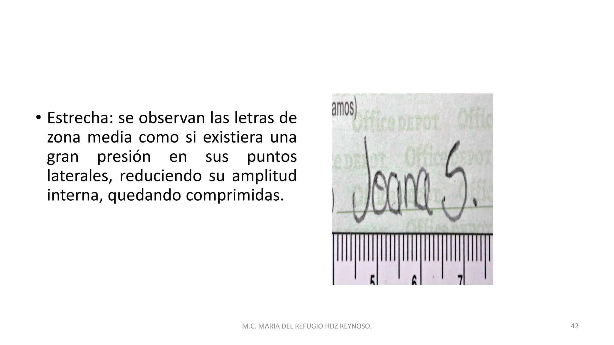 Guía Básica de Grafoscopia y Documentoscopía | PDF