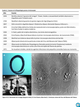Guia Introductoria Conceptos Fudamentales Biol Celular 11.pdf