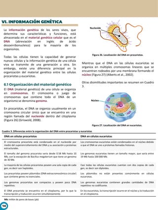 Guia Introductoria Conceptos Fudamentales Biol Celular V.1 PUB (1)Ulloa ...