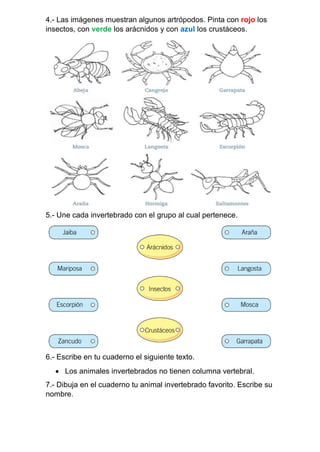 Guia invertebrados.pdf