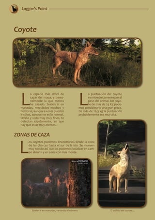 GUÍA LOGGER´S POINT | PDF