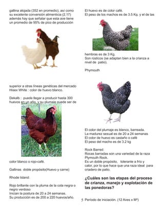 Todo Sobre El Proyecto De Gallinas Ponedora Para Hacerlo Un, 52% OFF