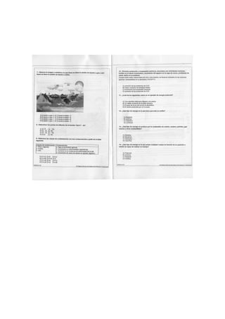 Guia modulo 20 optimizacion | PDF