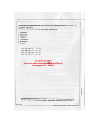 Guia modulo 20 optimizacion | PDF