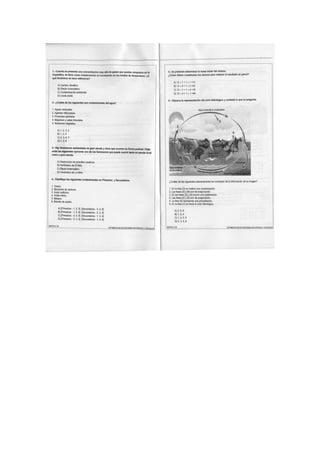 Guia modulo 20 optimizacion | PDF