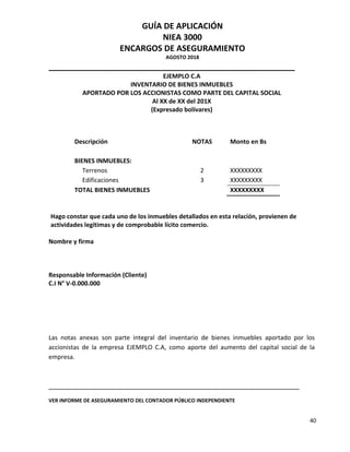 Guia niea 3000 | PDF