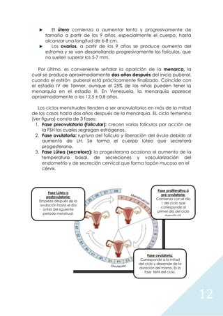 Guia 5 pubertad y adolescencia | PDF