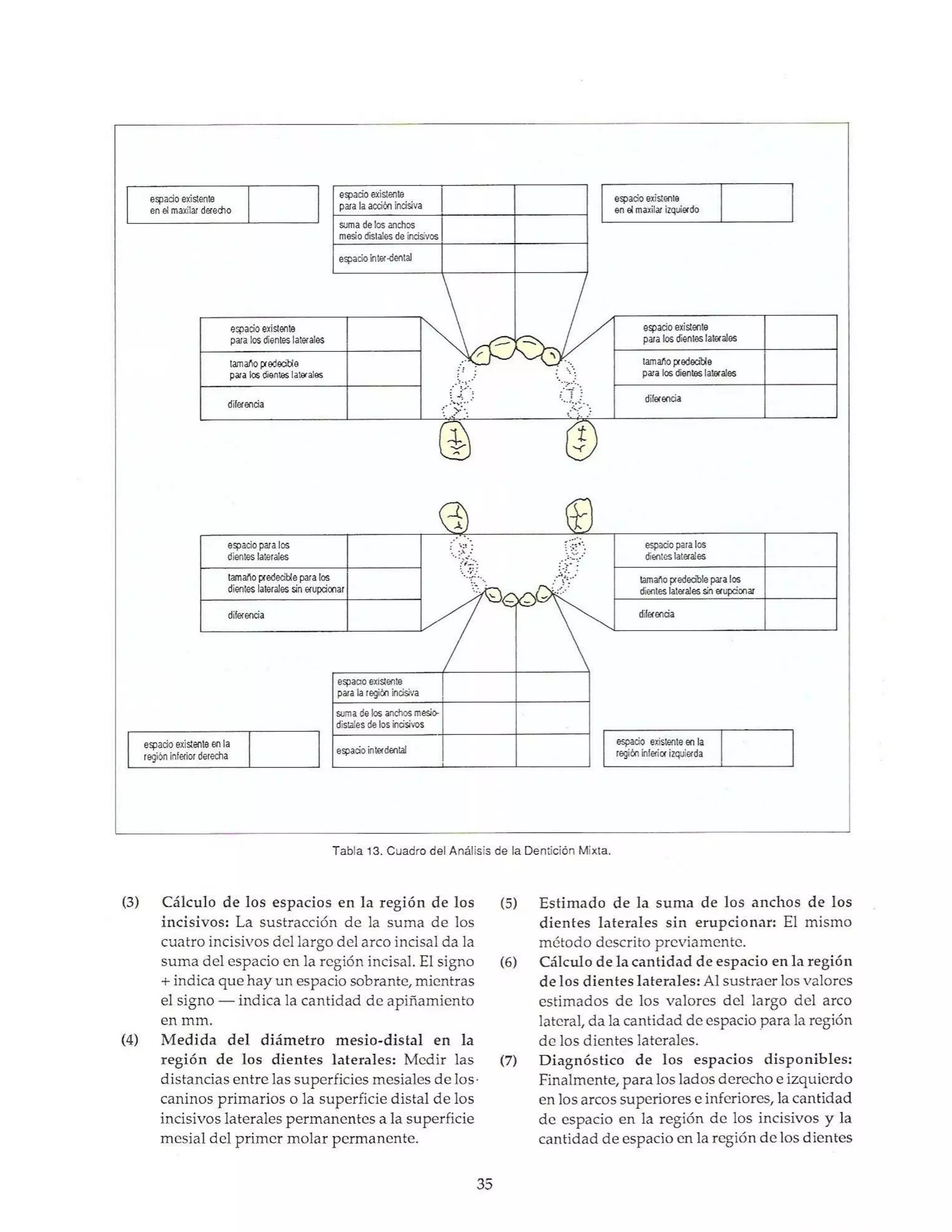 Guia oclusal en odontopediatria | PDF