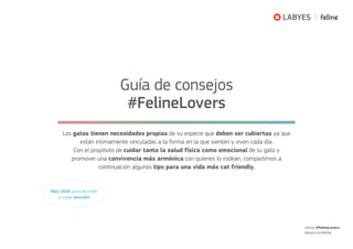guia para cuidar gatitos apenas llegan a tu vida | PDF