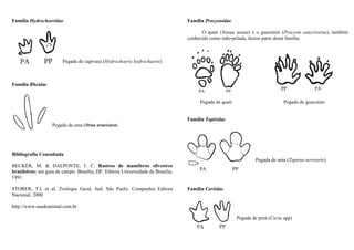 GuiaParaIdentificacaoDePegadas.pdf