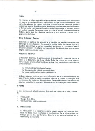 Guia para la presentacion de la tesis de maestria | PDF