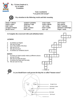 Guia partes del cuerpo vocabulario | PDF