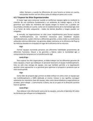 GUIA PRACTICA AGIL - PMI Project Management.pdf