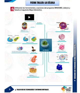 Guia practica MINDOMO | PDF