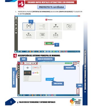 Guia practica MINDOMO | PDF