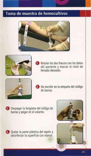 Guia practica para la extraccion sanguinea BD Diagnostics - Diagnostic ...