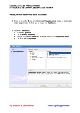 Guia practica secuenciales en java con NetBeans 01 | PDF