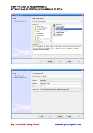 Guia practica secuenciales en java con NetBeans 01 | PDF