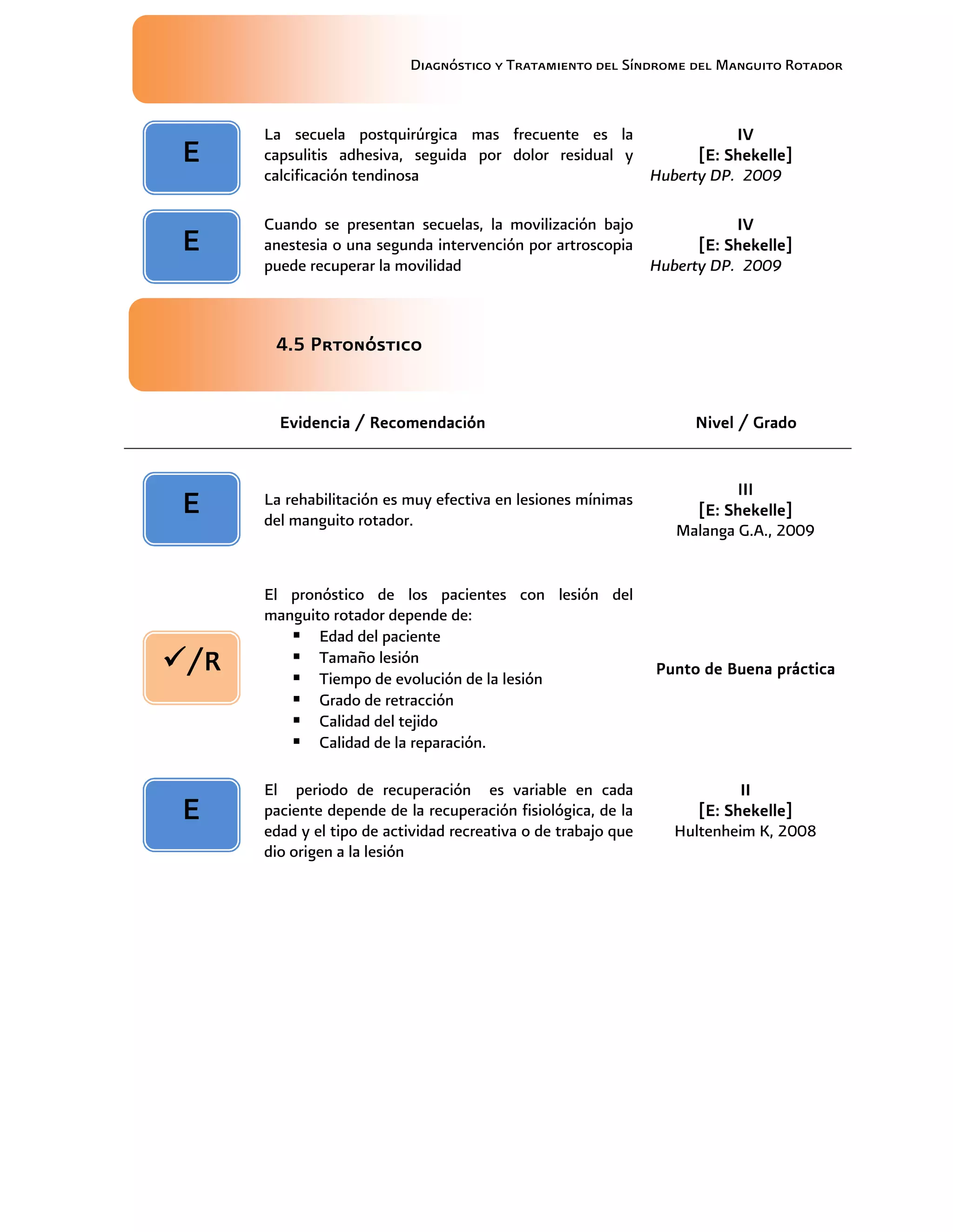 Guiapracticlinica manguitorotador | PDF