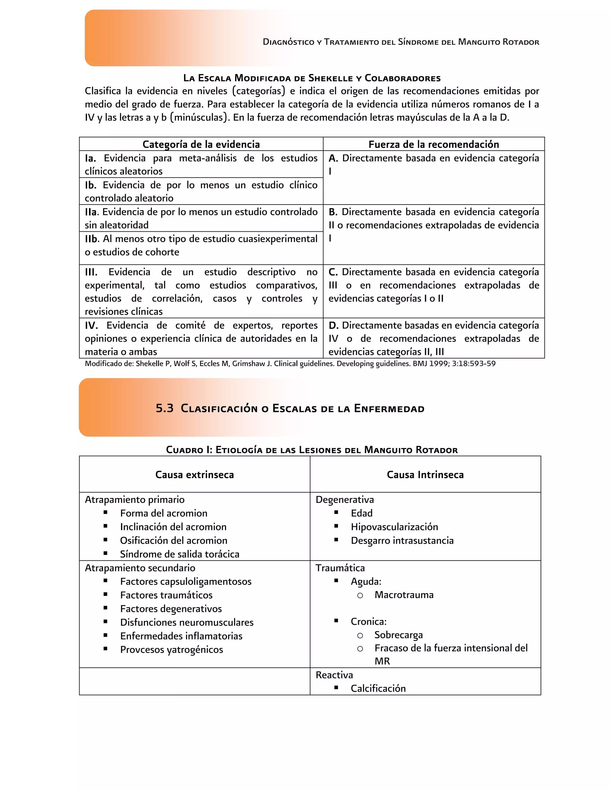 Guiapracticlinica manguitorotador | PDF