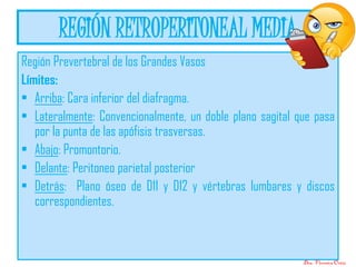 Guia region retroperitoneal y anatomia del aparato urinario | PDF