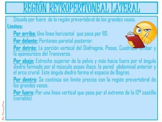 Guia region retroperitoneal y anatomia del aparato urinario | PDF