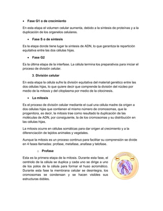 Guias ciclo celular | PDF