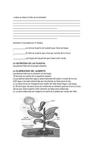 Guias de apoyo clase n° 3 | DOCX