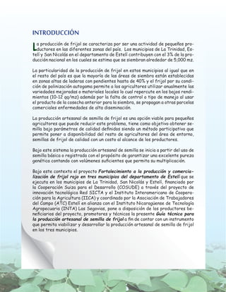 Producción semilla artesanal frijol | PDF