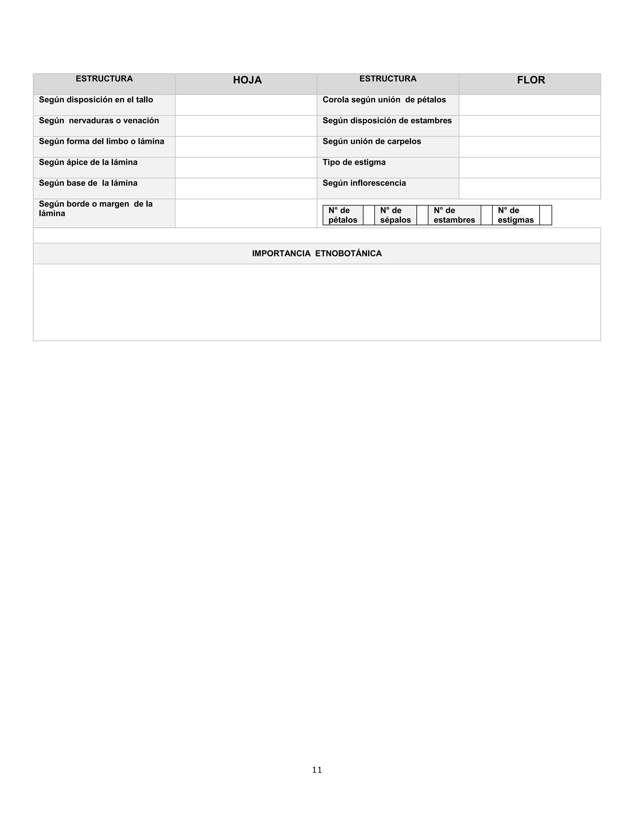 Guias, formatos, tabla y crucigrama biodiversidad botanica | PDF