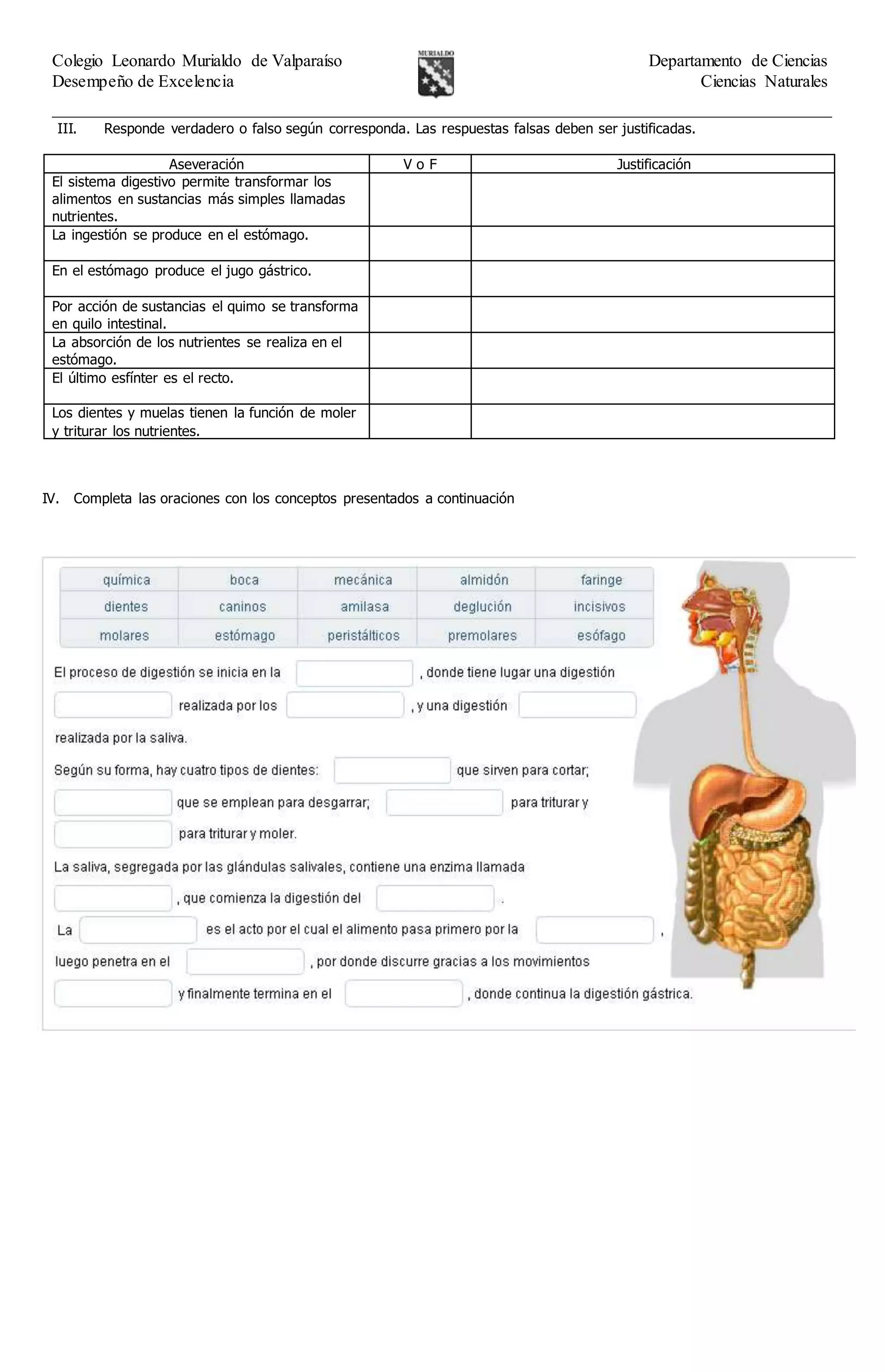 Guia sistema digestivo 2 | DOCX