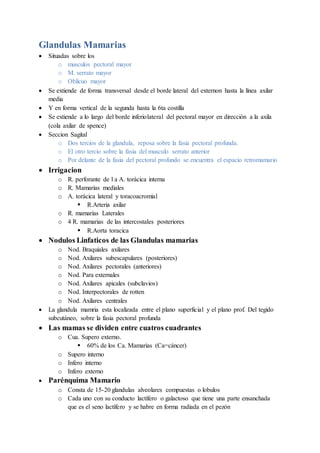 ANATOMIA- PERINE | DOCX