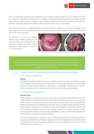 Guia tecnica cancer_cuello_utero | PDF