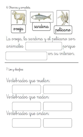 Guia unidad 1 los animales | DOCX