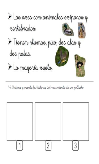 Guia unidad 1 los animales | DOCX