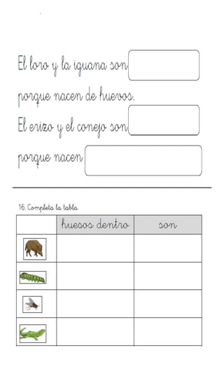 Guia unidad 1 los animales | DOCX