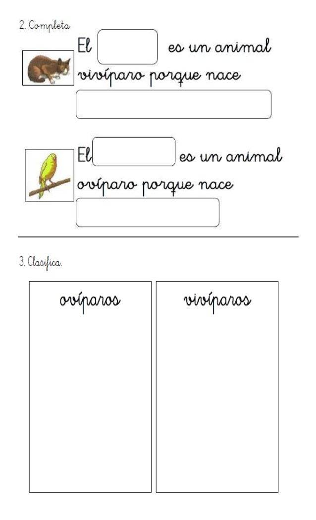 Guia unidad 1 los animales