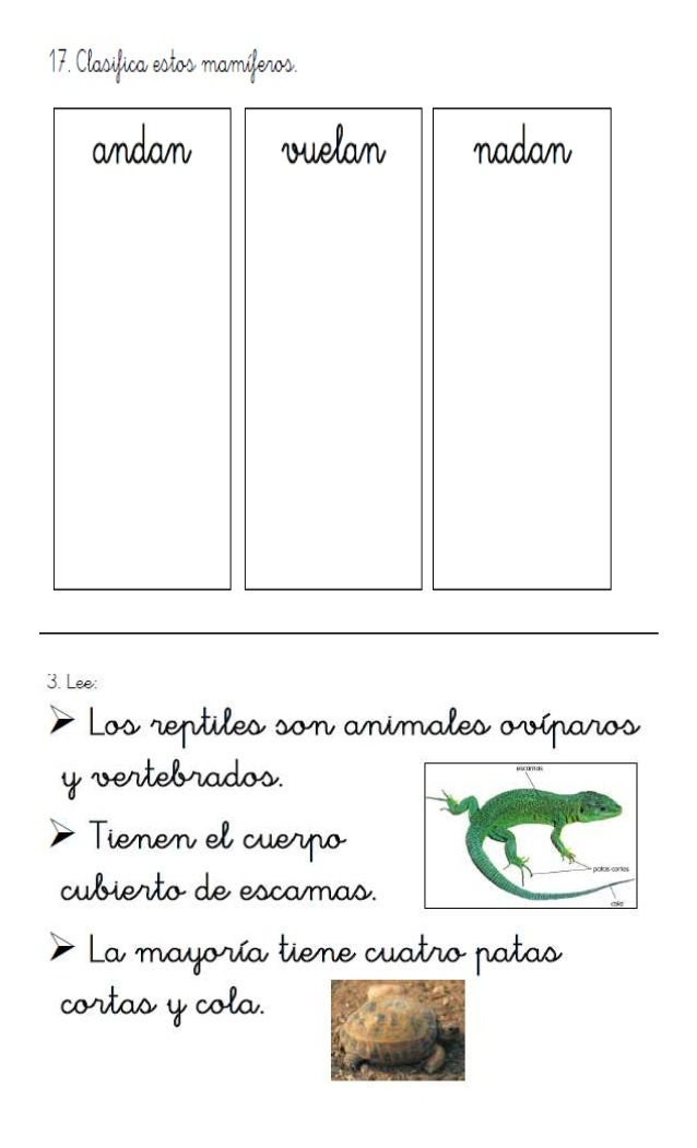 Guia unidad 1 los animales