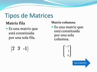 Guia virtual matrices | PPSX