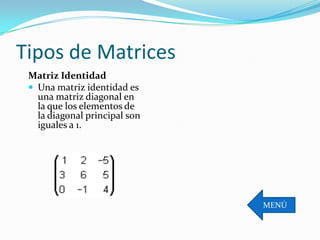 Guia virtual matrices | PPSX