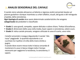 Breve Guida al Caviale di Caviarhouse.it