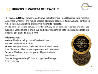 Breve Guida al Caviale di Caviarhouse.it