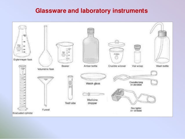 Guida al laboratorio di chimica biologia-scienze